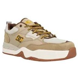 Sneaker DC Shoes "DC Ascend", Gr. 7,5(40), braun (braun, gum), Obermaterial: Leder (Kuh) / Futter: Textil / Außensohle: Gummi, Schuhe