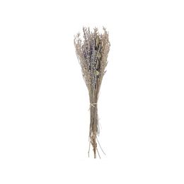 Beliani Trockenblumenstrauß NAWARRA in /Grün/Violett - (W) 20 x (H) 70 x (L) 6 cm | Gr.: onesize