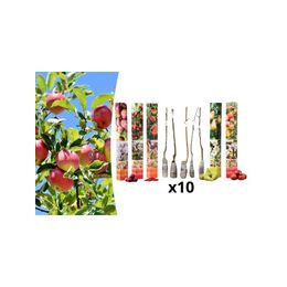 GARDENZO 10er-Set: Obstbäume in Bunt | Gr.: onesize