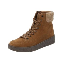 Gabor Comfort Stiefeletten in lion/camel (Micro) | Gr.: 37