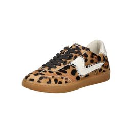 Dolce Vita Sneaker in Leopard | Gr.: 39