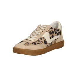 Dolce Vita Sneaker in Leopard | Gr.: 41