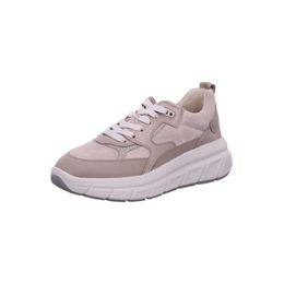 Gabor Sneaker Low in beige | Gr.: 37,5
