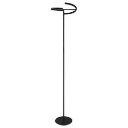 Eglo LED Stehlampe "LED Stehlampe CASTELPOTO, schwarz, Touchdimmer, warmweiß, Wohnzimmer", schwarz, 2, Ø 40cm H: 180cm, Leuchten, 180 x 40 cm, Sockel 28 cm, 2 x 8,8 Watt, Stehleuchte, Fluter