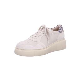 Paul Green Sneaker in beige | Gr.: 38,5