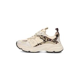 Haboob Sneaker 'Olivia' Damen Gr&ouml;&szlig;e 40 beige / hellbeige / schwarz