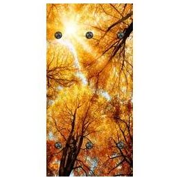 Wandgarderobe queence "Herbst Sonnenaufgang im Wald", goldfarben, B:50cm H:100cm T:2cm, Acrylglas, Garderobenpaneele, Wandgarderobe, Wandpaneel aus Acrylglas inkl. 6 Edelstahlhaken in schwarz matt