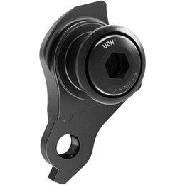 Sram Schaltauge UDH (Universal Derailleur Hanger)