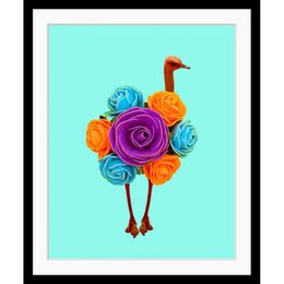 queence Bild »Amy« Humor Kunst Vogelbilder Vögel HD Premium Poster-Druck inkl. Holzrahmen Farbe Rahmen: schwarz + Farbe Bild(er):...