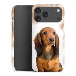 DeinDesign iPhone 17 Pro Max Handy Premium Case Smartphone Handyh&uuml;lle Schutzh&uuml;lle gl&auml;nzend Pet Dachshund Dog Premium Case