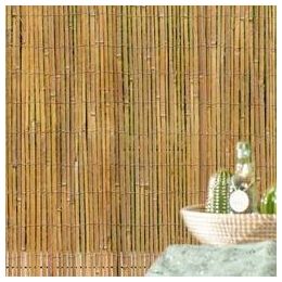 Sichtschutzzaunmatten Windhager, beige (natur), H:180cm, Bambus, Zaunelemente, natürlicher Sicht- und Windschutz für Balkon und Terrasse, L: 3 m