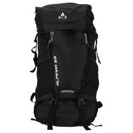 Wanderrucksack WHISTLER "Alpinak", schwarz, Rucksäcke, B/H/T: 22cm, Polyurethane, unifarben, mit geräumigem Innenfach, B:22cm