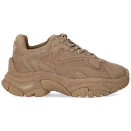 Ash Low-Top Sneaker - Addict Beige Sneaker - Gr. 39 (EU) - in Beige - f&uuml;r Damen