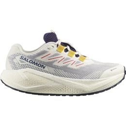 Salomon Aero Blaze 3 Gravel GTX Schuhe Damen beige 40.0