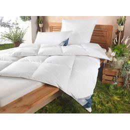 Häussling Daunenbettdecke HAEUSSLING "GRÖNLAND Made in Green", weiß, B:135cm L:200cm, Bezug: 100% Baumwolle. Füllung: 90% Entendaune, 10% Entenfeder, Bettdecken, hochwertiges Daunenprodukt" Made in Green" zertifiziert