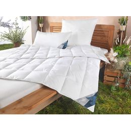 Häussling Daunenbettdecke HAEUSSLING "GRÖNLAND Made in Green", weiß, B:200cm L:200cm, Bezug: 100% Baumwolle. Füllung: 90% Entendaune, 10% Entenfeder, Bettdecken, hochwertiges Daunenprodukt" Made in Green" zertifiziert