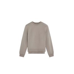 Scalpers Sweatshirt Damen Gr&ouml;&szlig;e XS taupe