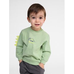 COOL CLUB Sweatshirt in Grün - 40% | Größe 68 | Baby-sweatshirts-jacken
