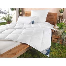 Häussling Daunenbettdecke HAEUSSLING "GRÖNLAND Made in Green", weiß, B:135cm L:200cm, Bezug: 100% Baumwolle. Füllung: 90% Entendaune, 10% Entenfeder, Bettdecken, hochwertiges Daunenprodukt" Made in Green" zertifiziert