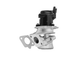F.BECKER_LINE AGR-Ventil mit Dichtung für CITROËN/PEUGEOT TOYOTA FORD 2S6Q9D475BC SU00100730 SU00100884 50810003