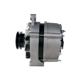 Hella Generator 12V 100A f&uuml;r VW 068903031Q 074903025B 074903025BX 8EL 012 427-791