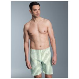TRIGEMA Herren Bermudas "TRIGEMA Bermuda mit Streifenmuster", Gr. Lweiß, 100% Baumwolle, Hosen
