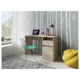 Schreibtisch Home Affaire "Tinsley", braun (sonoma eiche, natur, natur), B:120cm H:76cm T:53cm, Tische, mit Schublade, und Tür, Breite 120 x53 cm