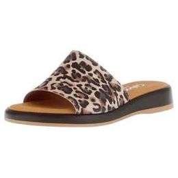 Pantolette Gabor COMFORT "Gabor Comfort Pantoletten Leder", Damen, Gr. 39, leopard, Leder, Schuhe