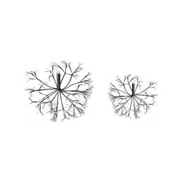 Beliani 2er-Set LED Deko RACKSTA in Schwarz | Gr.: onesize