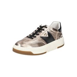 Nero Giardini Sneaker in Bronze | Gr.: 39