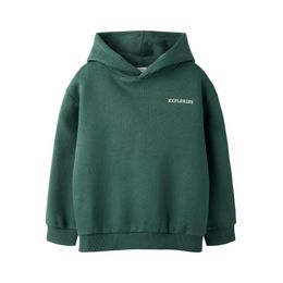 name it Hoodie in Garden Topiary | Gr.: 116