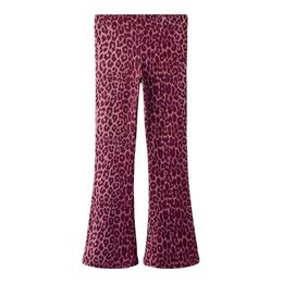 name it Hose in Grape Shake | Gr.: 146