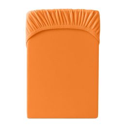 Cats Collection Spannbetttuch Edel-Jersey in orange | Gr.: 90 x 200
