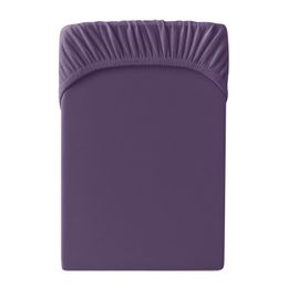 Cats Collection Spannbetttuch Edel-Jersey in violett | Gr.: 90 x 200