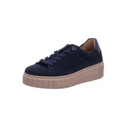 Gabor Comfort Sneaker Low in blau | Gr.: 38,5