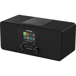 Grundig Internet-Radio &raquo;DTR 6100&laquo; (Bluetooth WLAN Automatische Senderverfolgung Digitalradio (DAB+) Internetradio UKW mit RDS 28 W) schwarz...
