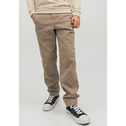 Jack & Jones JACK & JONES JUNIOR Chinos »JPSTMARCO bequem, kombinierbar, mittlere Taille« unifarben, modisch, regular fit, Web Beige 146 - N-Gr N-Gr 146...