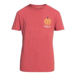 Quiksilver T-Shirt »Promote The Stoke« Burnt Ochre XXL XXL Ärmel: kurzärmlig