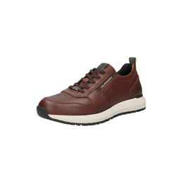 Salamander Sneakers male Brown size 43