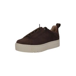 Salamander Sneakers female Brown size 39