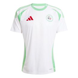 adidas Performance Funktionsshirt 'Algeria 24' Herren Größe XS hellgrün / rot / weiß