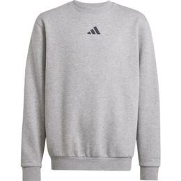 Adidas Allszn Gfx Sweatshirt Jungen - grau - Gr. 152 - Baumwolle/Polyester