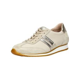 Paul Green Sneaker Damen Gr&ouml;&szlig;e 41 beige / silber