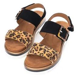 Plateausandaletten Ara "MALAGA", Damen, Gr. 37, bunt (schwarz, leo), Veloursleder, Schuhe Riemchensandale Sandale, Plateausandale, Klettschuh in Bequemweite G (= weit)