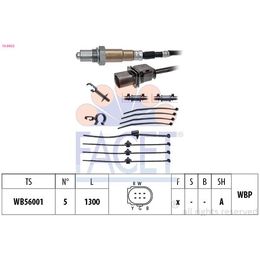 FACET Lambdasonde für VW SEAT AUDI BENTLEY 022906262BL 06E906265C 022906262CH 10.8432