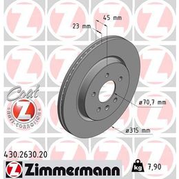 Zimmermann Bremsscheibe COAT Z hinten rechts links innenbelüftet 315mm für GENERAL MOTORS OPEL 13586855 13502866 5690930 430.2630.20