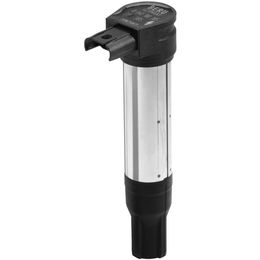BorgWarner (BERU) Z&uuml;ndspule 12V f&uuml;r BMW 12137680644 12138520154 12137671896 ZS385