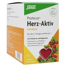 Salus Protecor Herz-Aktiv Kapseln 120 ST