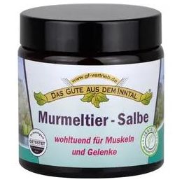 Axisis Murmeltier Salbe 110 ML