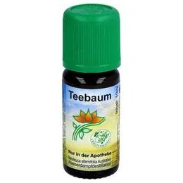 Teebaum&ouml;l Chr&uuml;term&auml;nnli 10 ML